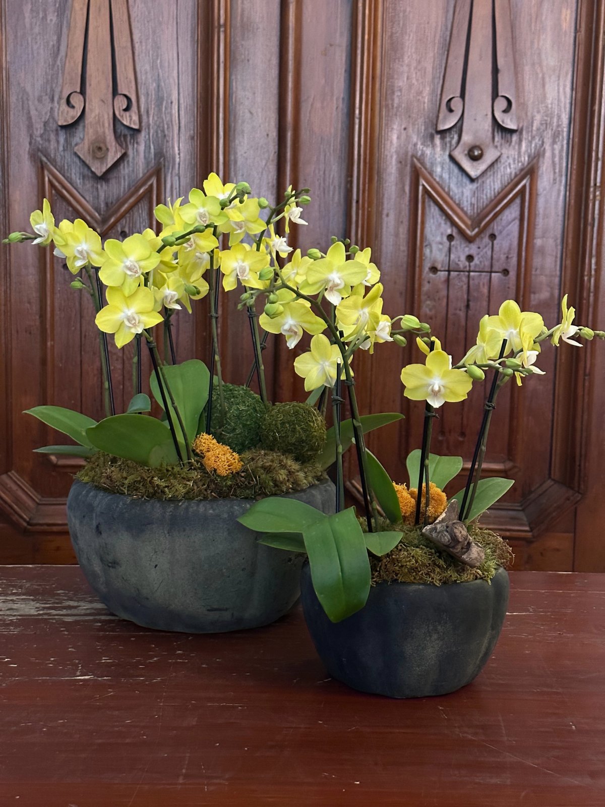 Potted Arrangements – Suzanne Gardner Flowers